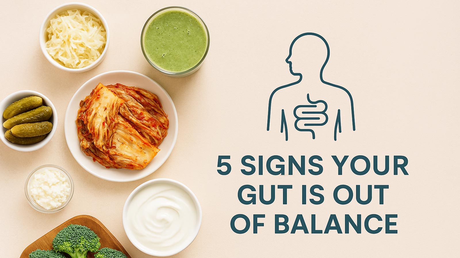 5 Signs Your Gut is Out of Balance & How to Fix It – Progurt Australia